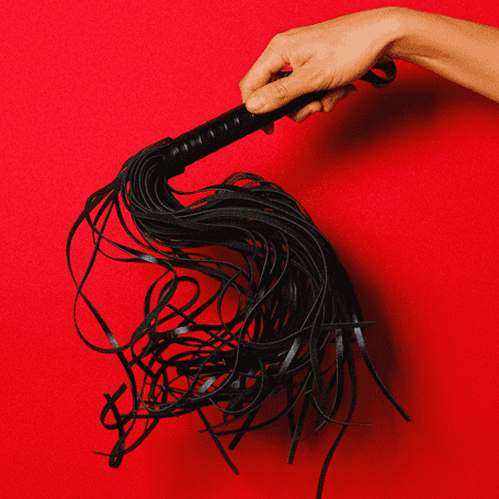 Flogger - A whip even for beginners - Deviance